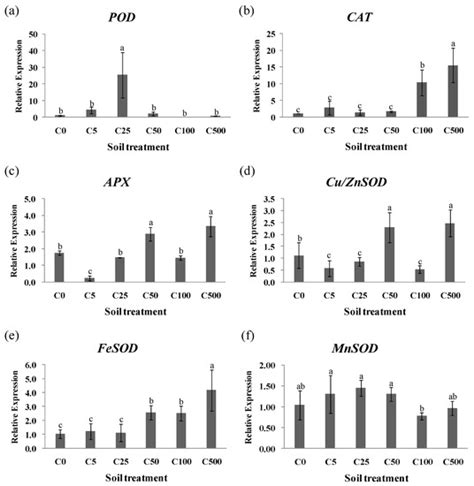 Toxics Free Full Text Transcriptomic Sequencing Analysis On Key Genes And Pathways