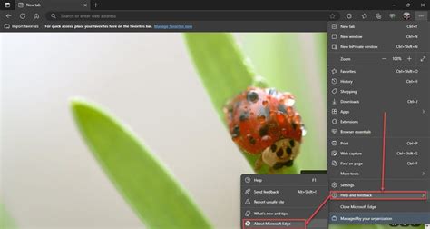 How To Uninstall Microsoft Edge In Windows