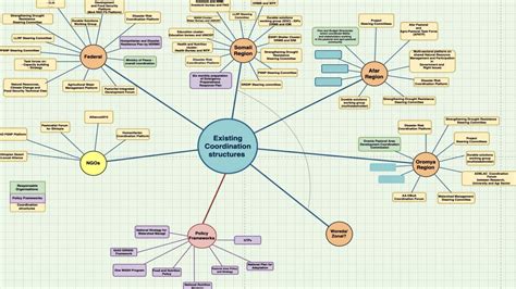Mind Map Of Coordination Structures And Observations Dream For Dry