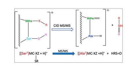 Sanduni Premathilaka On Linkedin Identification Of Serine Containing