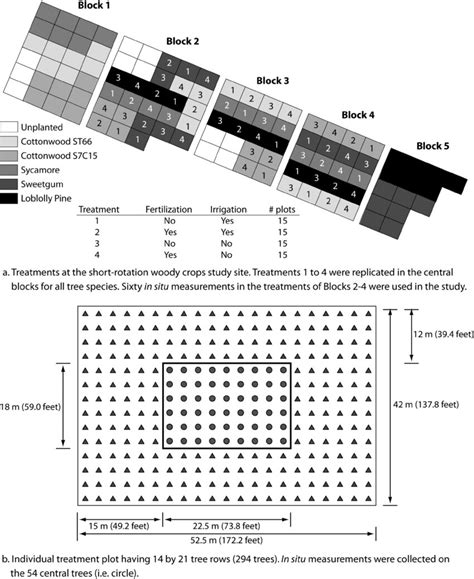 Overview Of The Experimental Plots With Different Treatments Download Scientific Diagram