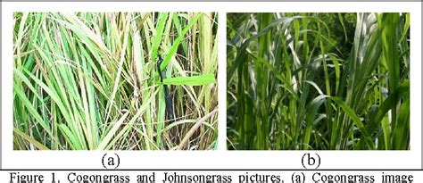 Figure 1 From Spectral And Spatial Resolution Effects On Remotely Sensed Data Used To Detect