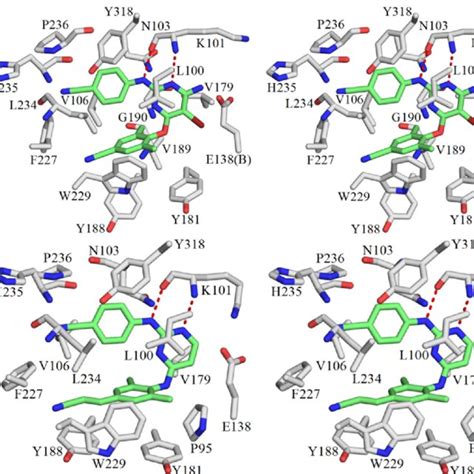 Stereo Diagram Of The Binding Pocket Of Rilpivirine In The K103n Y181c Download Scientific