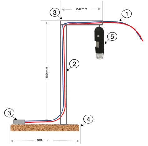 10 Wiring And Microscope Support Lateral View A Schematic With The Download Scientific