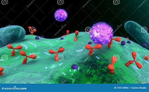 Ige Cartoons Illustrations And Vector Stock Images 274 Pictures To