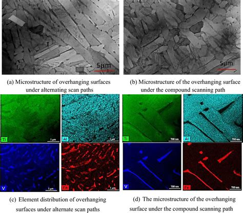 Schematic Diagram Of The Microstructure And Element Distribution Of The