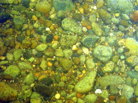Hydro Geophysical Affiliated Researchers