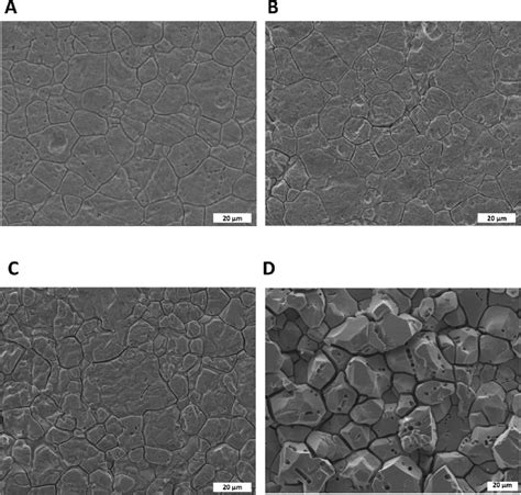 Secondary Electron Scanning Electron Micrographs Of Corroded