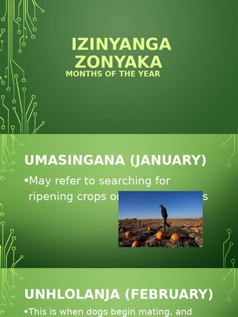 Izinyanga Zonyaka Pdf
