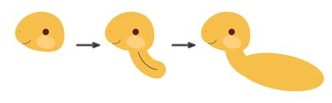 How To Draw A Tropical Turtle In Illustrator Envato Tuts