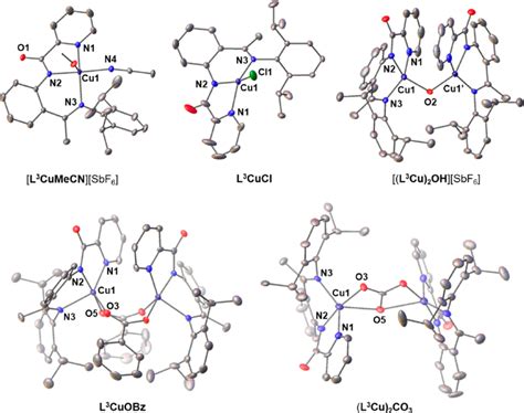 Crystal Structures Of The Cu Ii Complexes Bearing L 3 Drawn At The Download Scientific