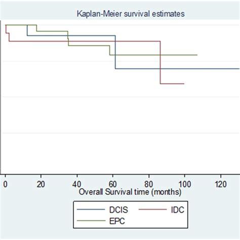 Ultrasound Image Showing A Complex Solid‐cystic Mass Containing An