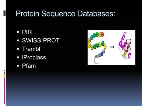 Sequence And Structural Databases Of Dna And Protein And Its