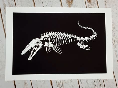 Mosasaurus Skeleton