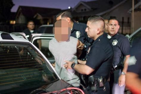 Los Angeles Lapd Gang Unit