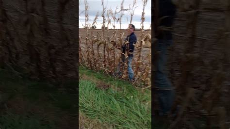 Senior Citizen Corn Maze Youtube