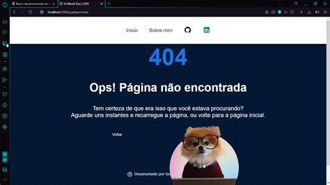 Bug Erro De Estilos React Desenvolvendo Em React Router Com