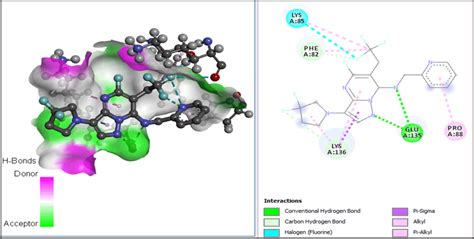 2 Dand 3 D View Of The Interaction Between Otu Deubiquitinase And A4