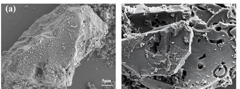 Fig S1 Sem Image Of A Msac N And B Msac Fe Download Scientific