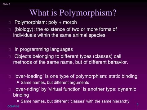 Ppt Understanding Polymorphism In Programming Part I Summary