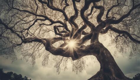 Decoding The Meaning Of My Heart Is Full What Does Meanings