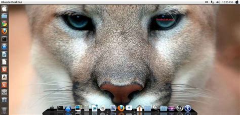 Install Mac OS X Theme On Ubuntu 12 04 Precise Linux Mint 14 NoobsLab Eye On Digital World
