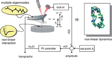 The Non Linear Interaction Between Tip And Sample Together With The