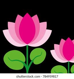 Lotus National Flower India Stock Illustration 784959145 Shutterstock