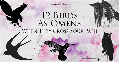 Superstitions Omens Meanings Artofit
