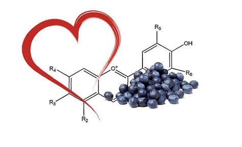 Anthocyane Lebensmittel Ph Wert Antioxidative Eigenschaften Und Als