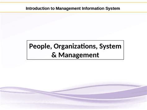 Management Information System Docsity
