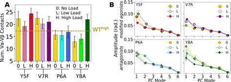 Figures And Data In Asymmetric Framework Motion Of Tcrαβ Controls Load Dependent Peptide