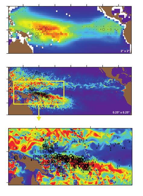 11 Simulations Of Skipjack Tuna Distributions In The Tropical Pacific
