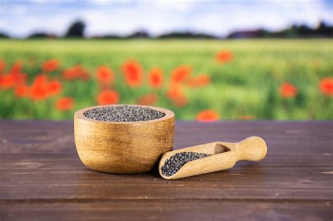 백그라운드에서 붉은 양 귀 비 필드와 체코 블루 양 귀 비 씨앗 0명에 대한 스톡 사진 및 기타 이미지 0명 가까운 갈색 Istock