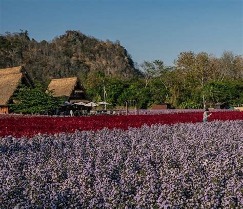 Free Sql Workshop Pdf Download