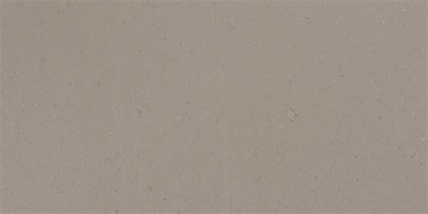 Fossil Grey Fair Deal Marbles Granite