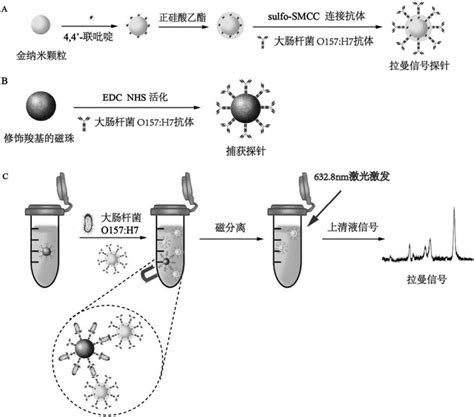 Novel Sers Substrate Based Method For Quantitatively Testing Pathogenic