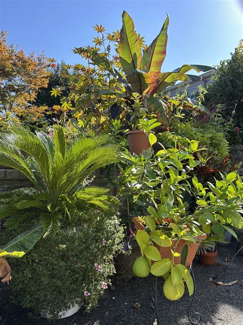 Alex Calamia Alex Calamia Added A New Photo