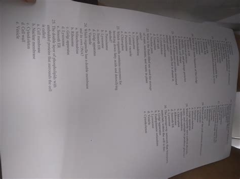 What Is The Main Function Of Ribosomes A Store Genetic Information