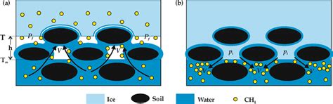Schematic Representation Of The Water And Methane Flows In Freezing