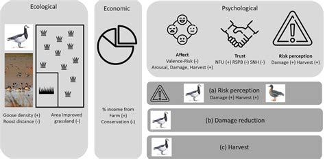 Conceptual Framework Indicating Direction Of Hypothesized Relationships
