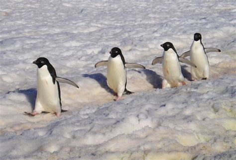 Linux Basics For The Aspiring Hacker Version 70 Managing