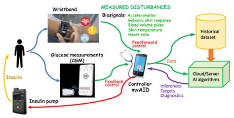 Devices And Information Flow In Multivariable Automated Insulin