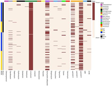 Genomic Characterization Of Enterococcus Casseliflavus Isolated From