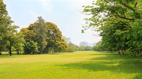 Can Green Open Spaces Make You Healthier Life