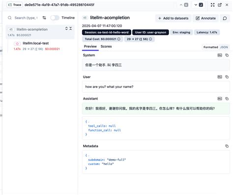 litellm integration with langfuse leonx ai