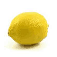  Festa Limone Temptation Island 2023 Limoni  Temptation Island