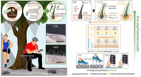 연세대 홍진기 교수팀 일상 활동 중 발생소실되는 전기에너지를 인체를 매개로 전달하는 모발 성장 및 모낭 형성 촉진 시스템 개발 Professor Jinkee Hong