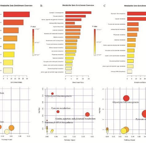 Enrichment Analysis And Pathway Analysis Of The Main Differential Download Scientific Diagram