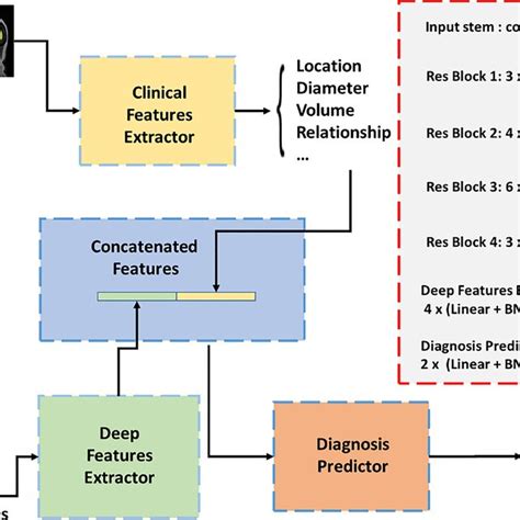 Automatic Classification Network Structure For Qst Classification The